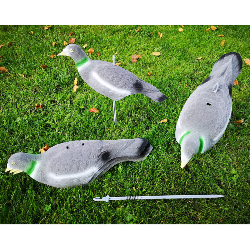 Pigeon decoys shells Flocked 5 pack - Duckhouse.dk